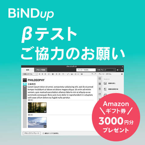 BiNDup | 新ブロックエディタのβテストを実施｜ニュースリリース｜WEBLIFE（ウェブライフ）